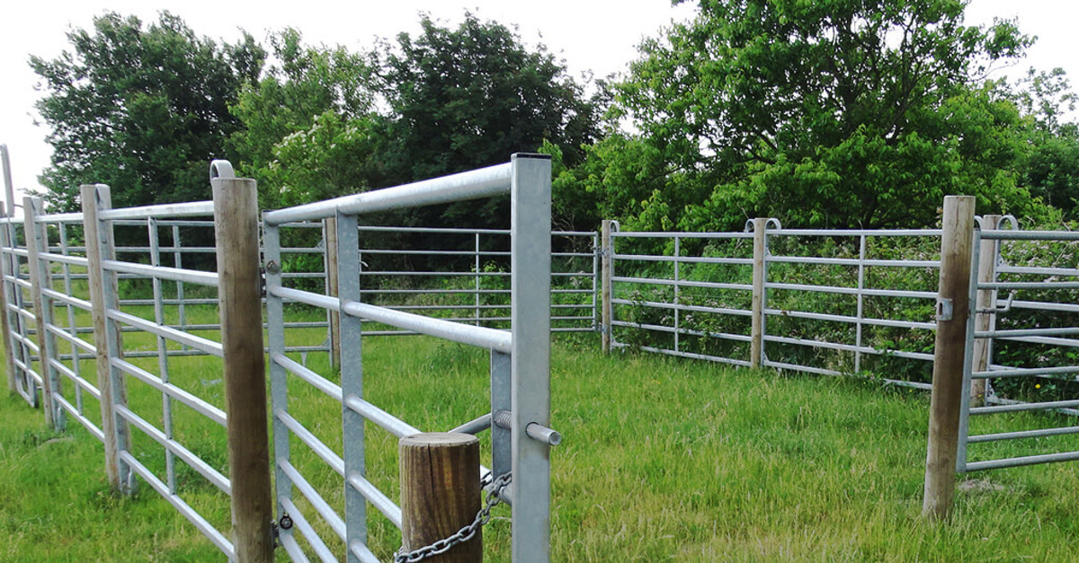 Poda Zäune und Tore I Mobile Zaunelemente für Kühe, Rinder und Mutterkühe